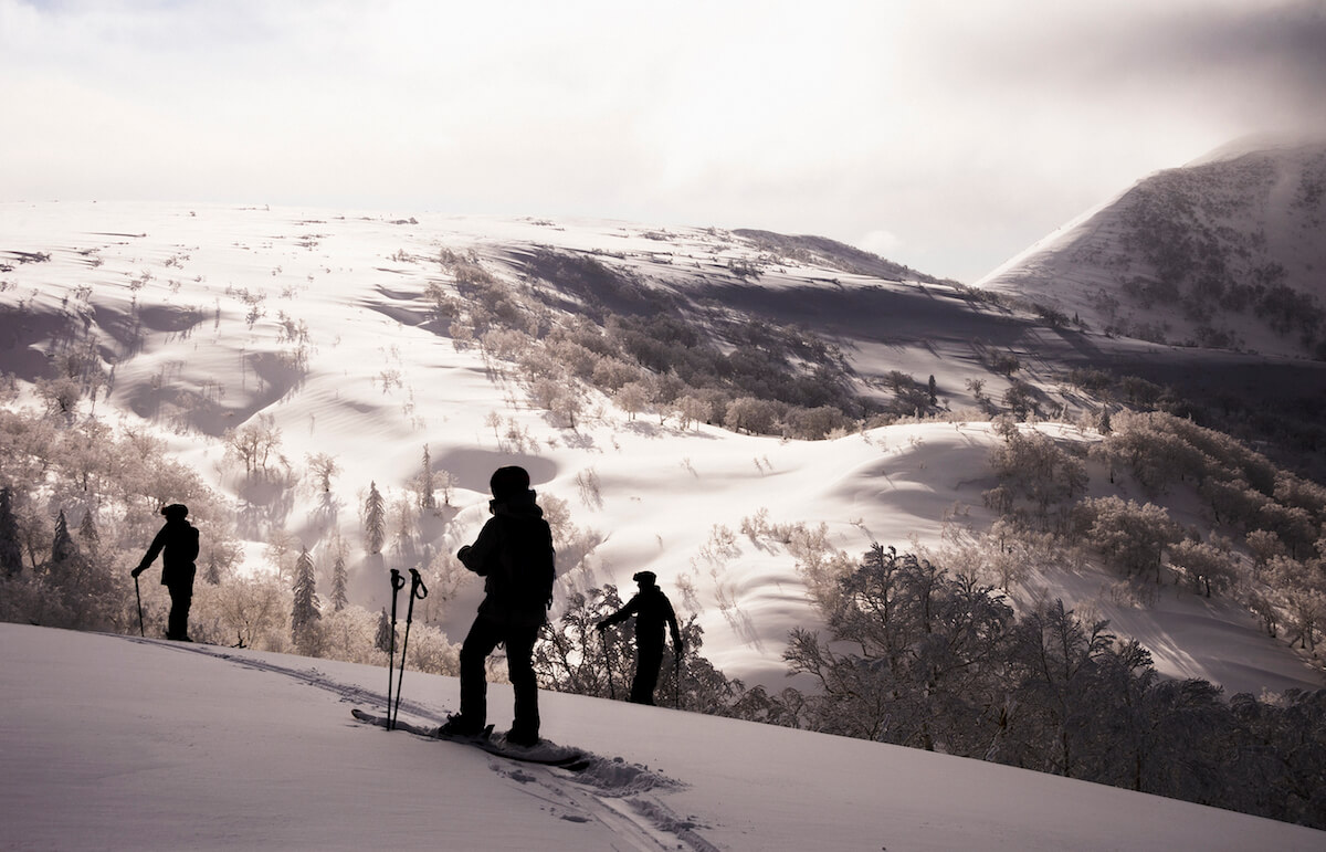 The Snowreal Expo - Gianmarco Allegrini - Accommodation Engelberg | Ski ...